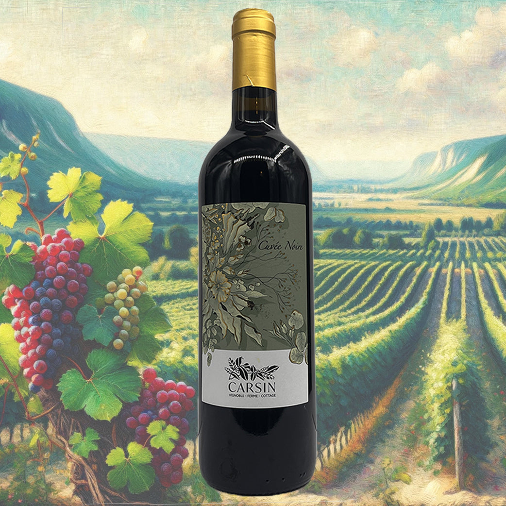 Château Carsin - Cuvée Noire - 2021 - Vin de Cadillac Côtes de Bordeau ...